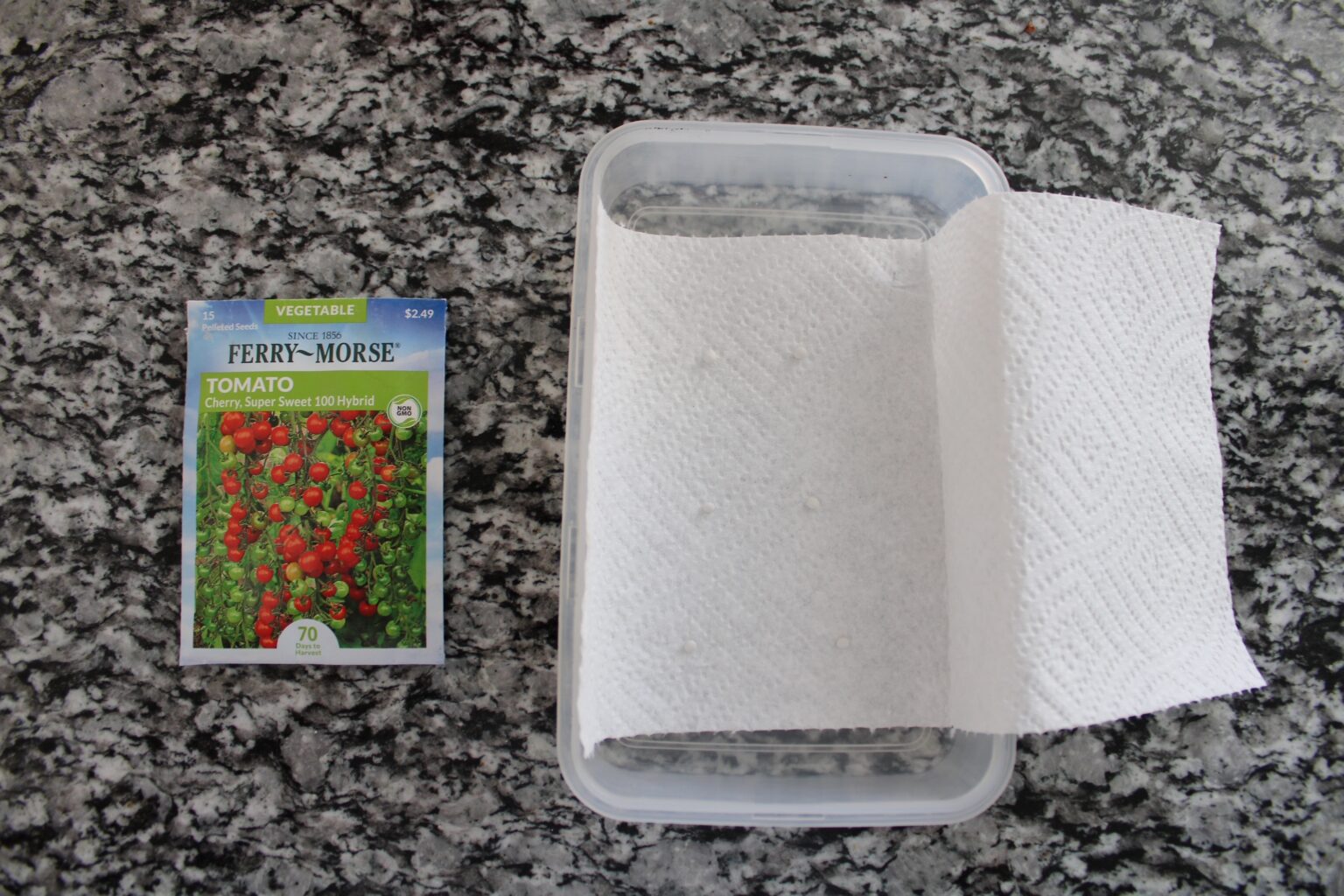 Seed Germination with "the paper towel" method