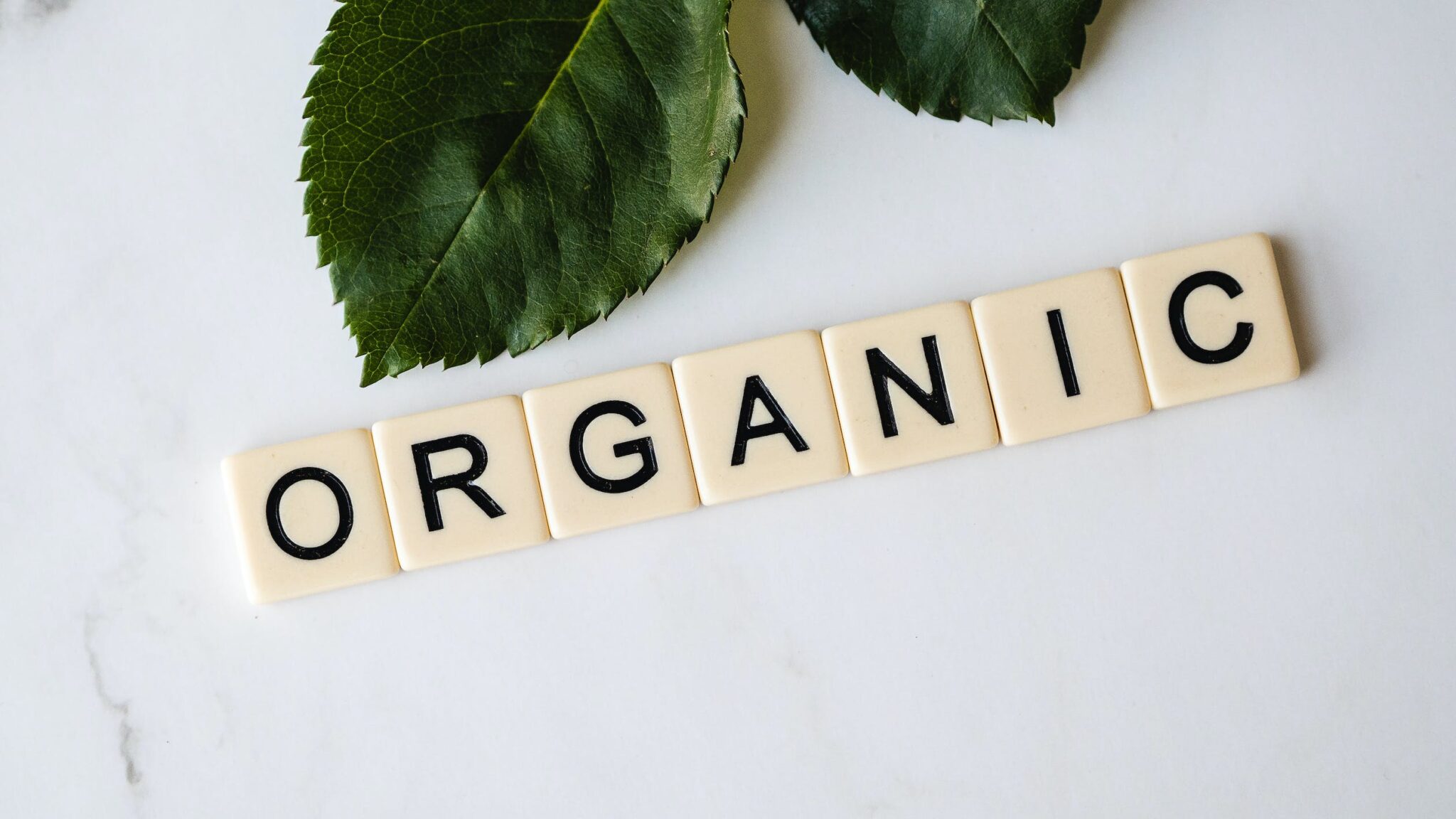 Organic Gardening: Securing Nature's Bounty with Natural Methods
