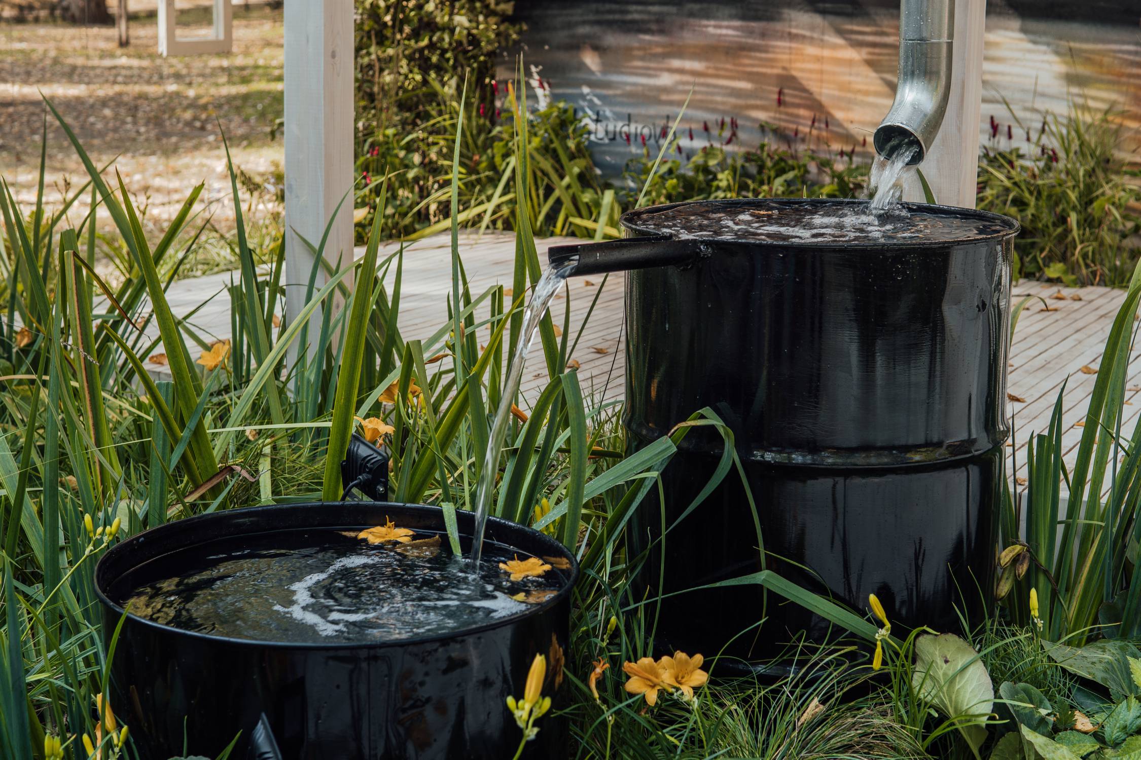 How To Build the Perfect Rain Garden for Your Yard