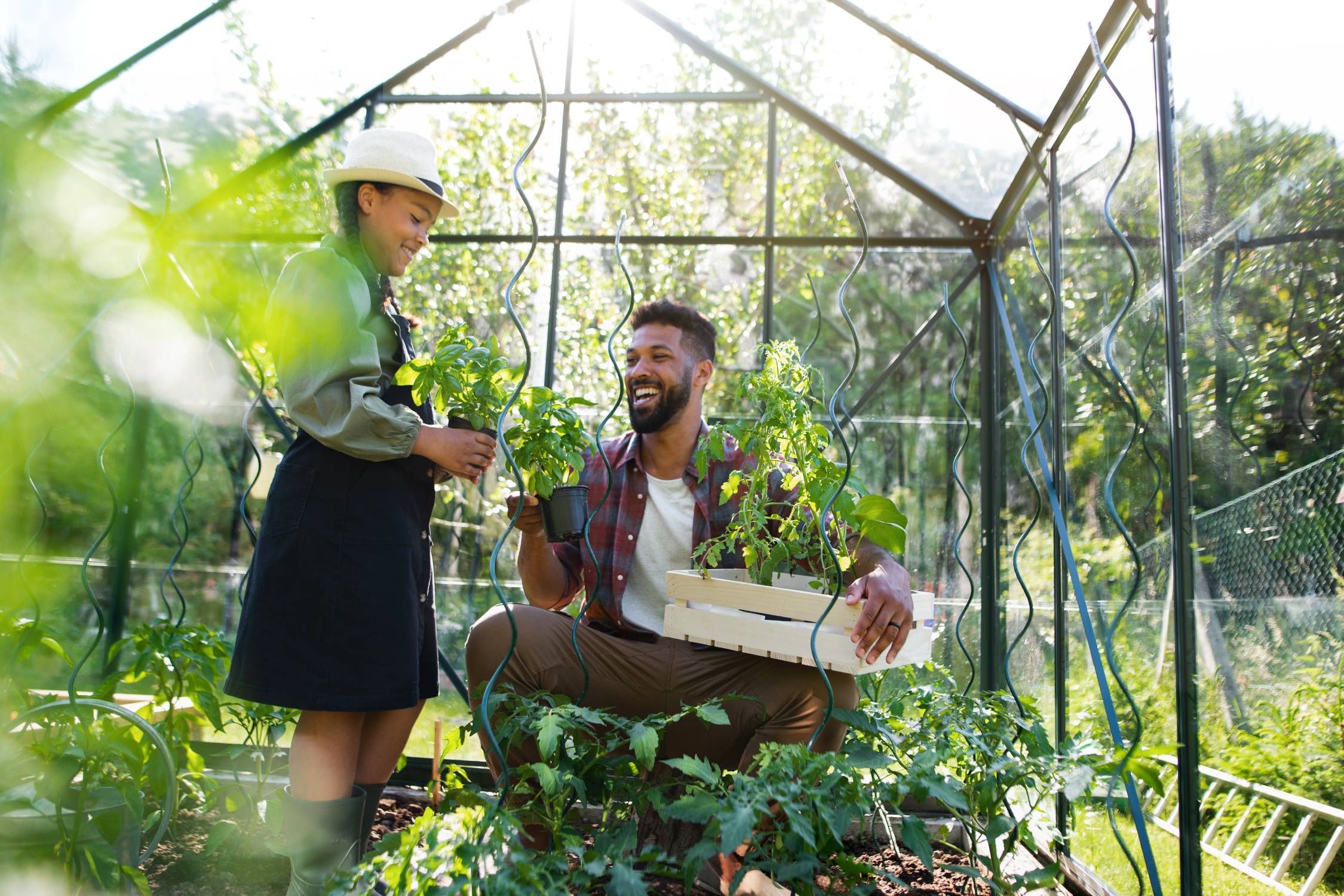 Benefits of Growing Your Plants in a Greenhouse