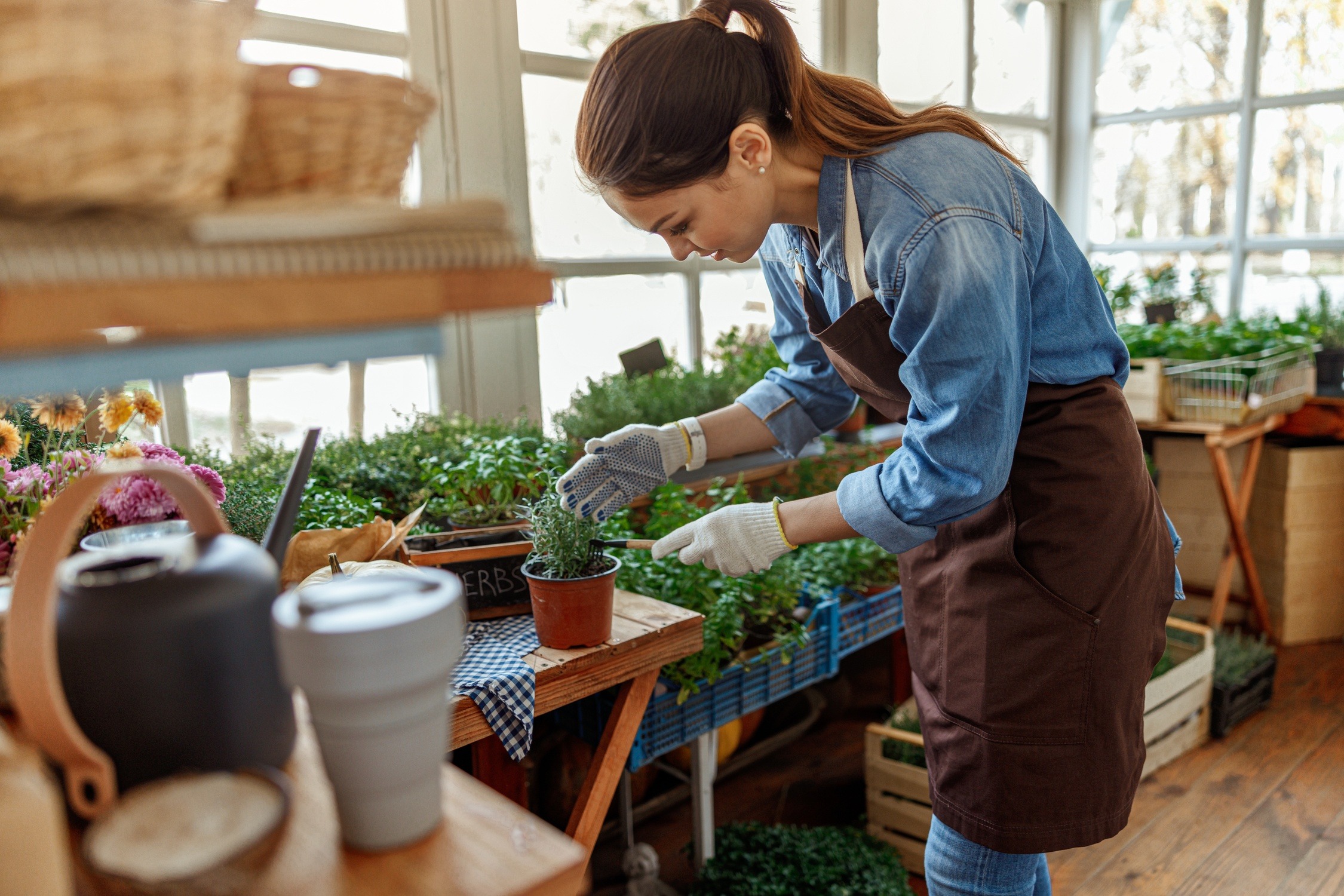 Converting a Pole Barn Into a Plant Nursery